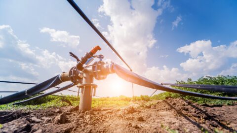 Choosing the Right Agriculture Irrigation Pipe