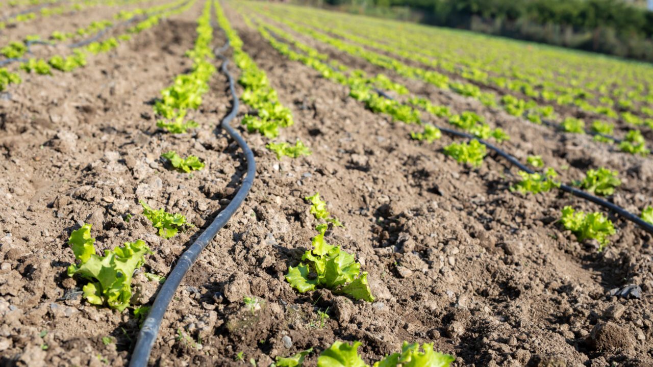Choosing the Right Agriculture Irrigation Pipe
